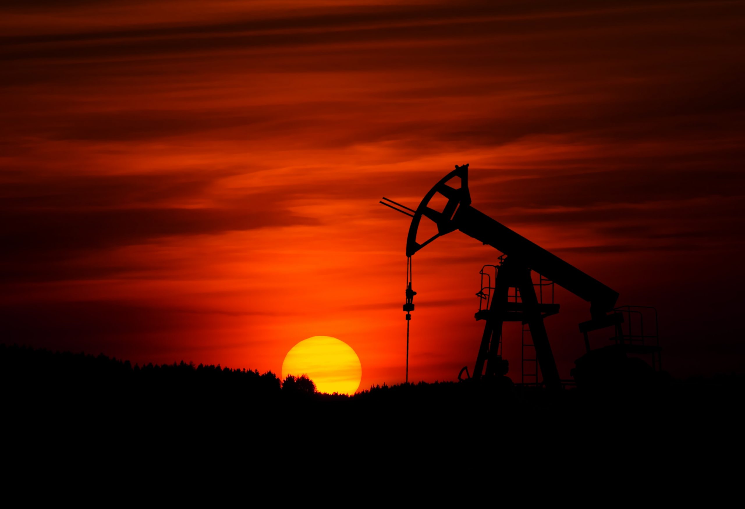 How Does It Work Texas PEO Broker